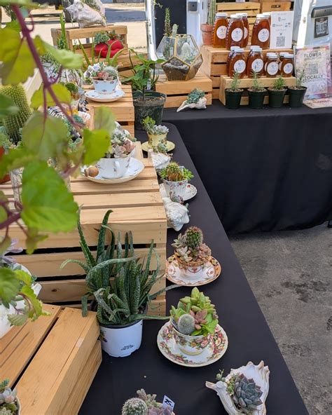 Trish Mcgee Mcgeesmallacres • Instagram Photos And Videos