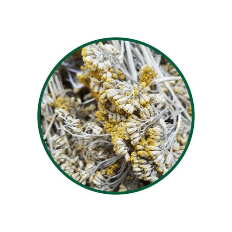 Civan Perçemi Süperkritik Yağı 1 Lt Gökçek Şifa Market İbrahim Gökçek Bitkisel Ürünler