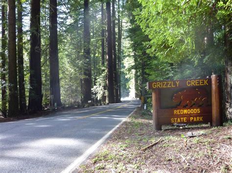 2024年3月grizzly Creek Redwoods State Park景点攻略 Grizzly Creek Redwoods