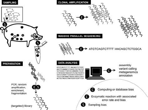 Steps In Next Generation Sequencing And Data Analysis Workfl Ows Where