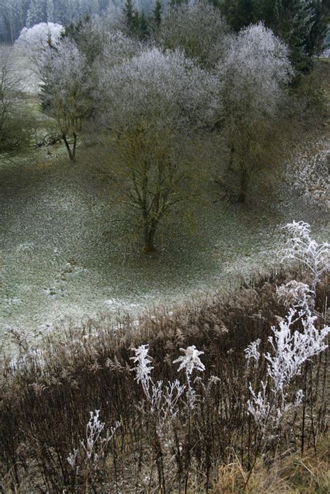 Senke Am Wald Forum Für Naturfotografen