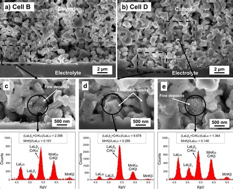 Sem Micrographs Of Cathode Cross Sections In Fractured Cells And The
