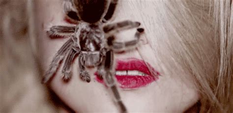 Most Disgusting Spider
