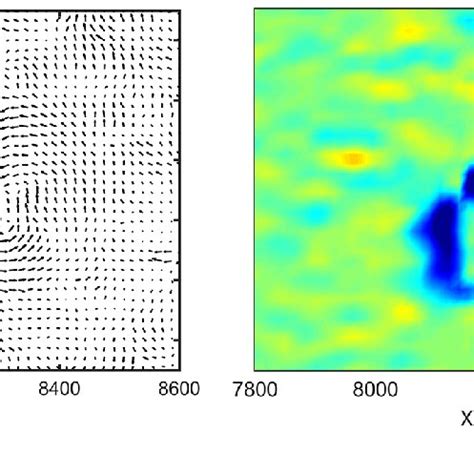 The Velocity Field Vector Plot And The Vorticity Component Download Scientific Diagram