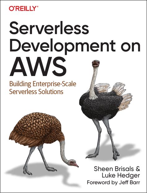 Serverless Book Developing Applications On Aws Medium