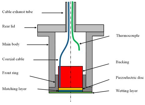 Ultrasound Transducer Structure At Dennis Aguayo Blog