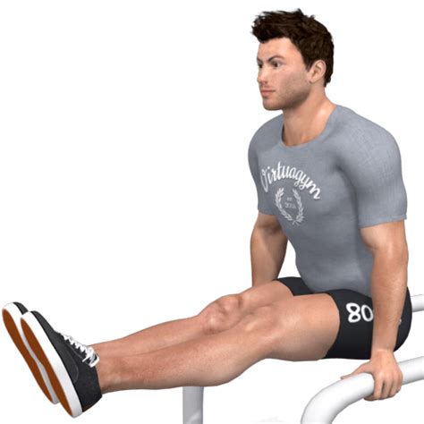 L Sit Video Exercise Guide