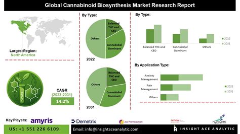 Cannabinoid Biosynthesis Market Trends Size And Scope Analysis