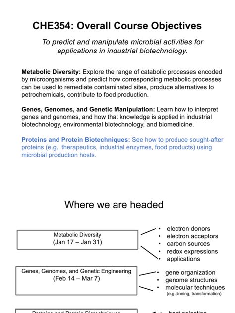 Cellular And Molecular Biology Notes Pdf Proteins Ribosome
