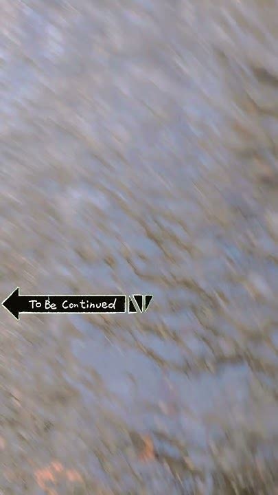 투비컨티뉴 Shorts 죠죠 투비컨티뉴 Youtube