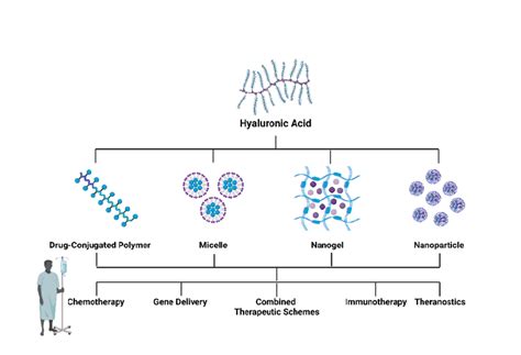 Different Formulations Of Ha Based Nanomaterials And Their Possible Download Scientific Diagram