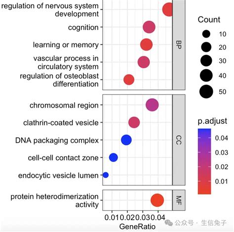 富集分析 Kegggo 知乎