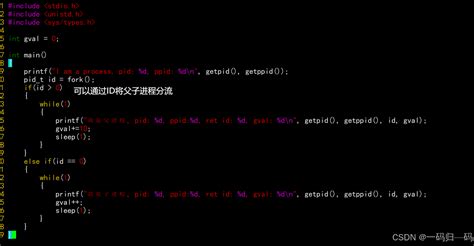 子进程的创建 ─── Linux第10课 Csdn博客