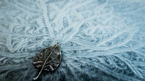 Hd Frosty Pattern Hd Wallpaper Rare Gallery