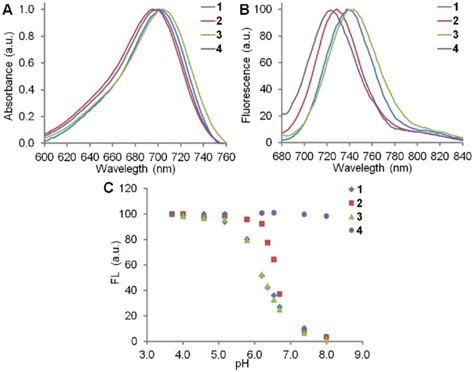 Ph Sensitive Fluorescent Dyes Are They Really Ph Sensitive In Cells Pmc