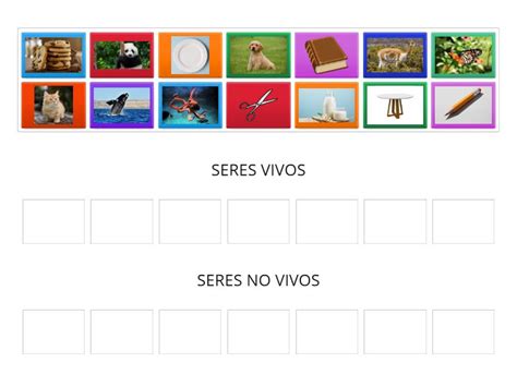 Seres Vivos Y No Vivos Pengurutan Grup