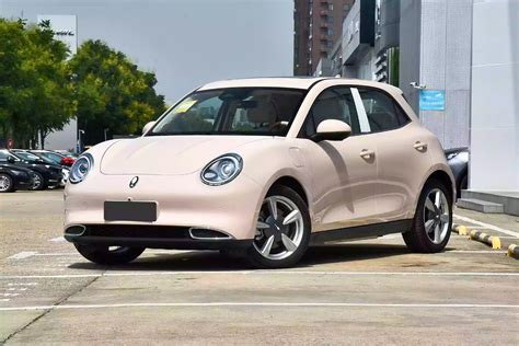 Gwm Ora Funky Cat Guangcaiauto