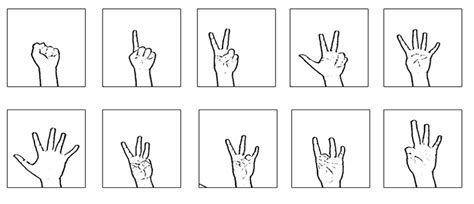 Preprocessing Techniques Used Download Scientific Diagram