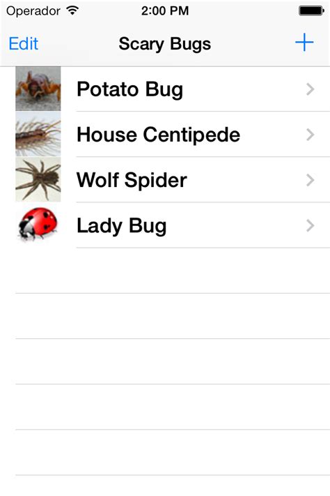 Ios Tutorial How To Create A Simple Iphone App Part 13 Kodeco The New