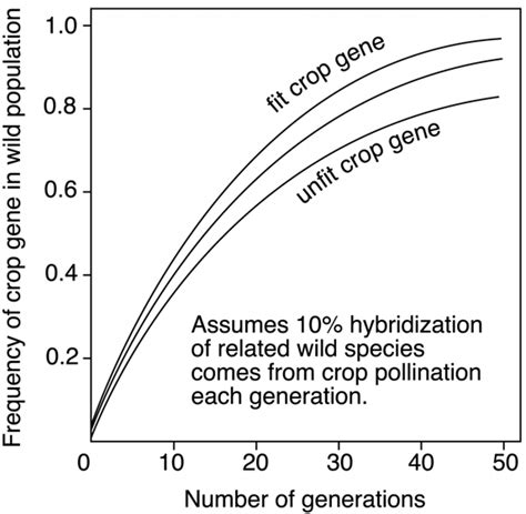 Modeling Of Gene Introgression Under Recurrent Gene Flow From Crops To