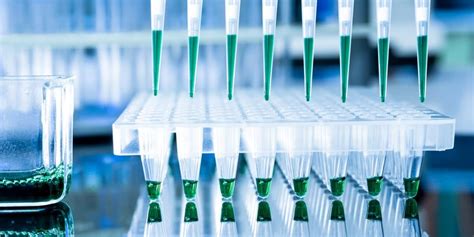 The Comprehensive Guide To Streamlining Your Pcr Prep Lab Manager