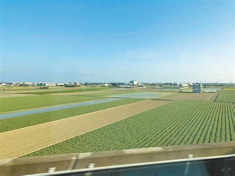 符合 條件 繼承農地可免課遺產稅