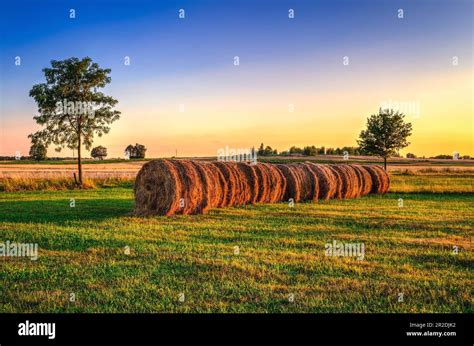Summer Landscape Haystacks On The Field Straw Bales Drying On A Green