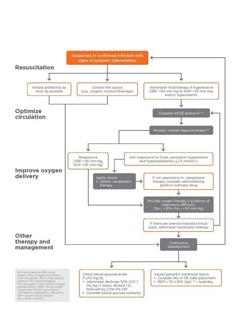 Algorithmic Approach To The Treatment Of Sepsis Todays Veterinary