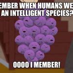 Member Berries Meme Generator Imgflip