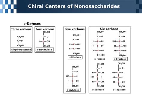 Ppt Chapter 7 Carbohydrates And Glycobiology Powerpoint Presentation