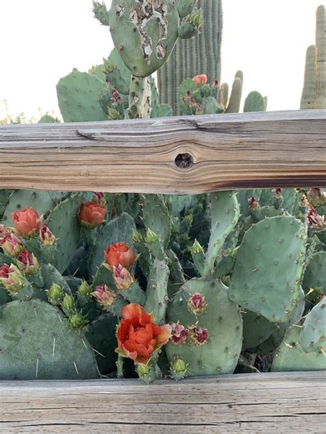 View Casey Caseyp13 Onlyfans 49 Photos And 32 Videos Gallery