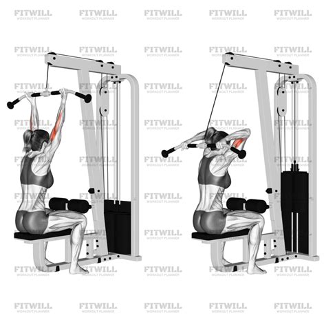 Cable Pulldown Bicep Curl Exercise Guide Techniques Benefits How To