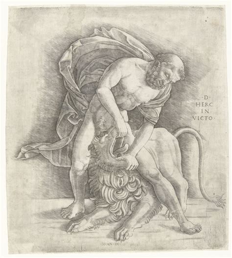 Nemean Lion Drawing