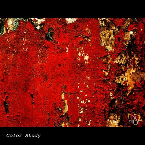 David Thibodeaux Photography