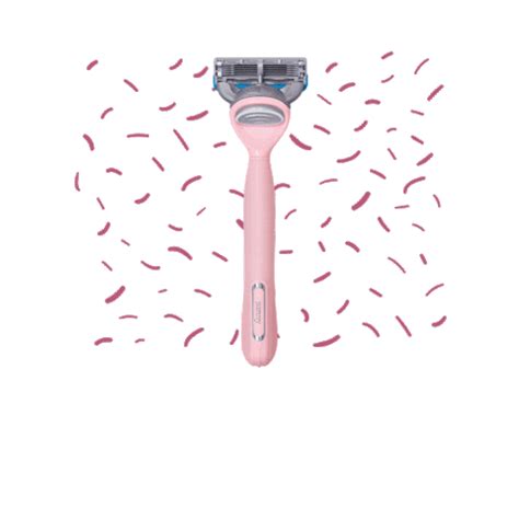 Sunny Shave S On Giphy Be Animated