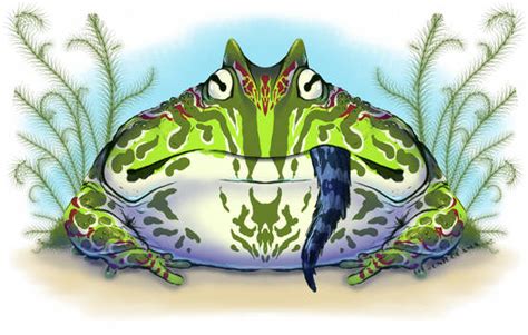 Explore The Best Beelzebufo Art Deviantart