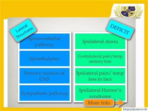 Brain Stem Lesions Anatomy And Physiology Pptx