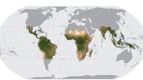 Noruega Financia Mapeamento De Florestas Tropicais Por Satélite