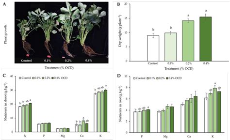 Phenotype A Dry Weight B And Nutrient Content In Shoot C And Download Scientific