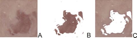 Pork Allergenic Extract 100 Mg Ml Injectable Solution Semantic Scholar