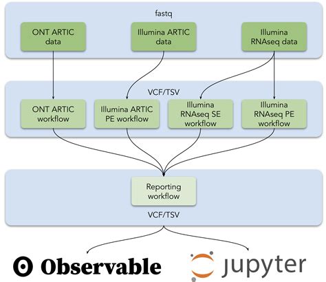 Global Framework For Sars Cov 2 Data Analysis Application To Intrahost Variation Part 1