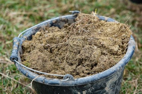 Premium Photo Planting Trees Tree Saplings Ready To Be Planted In The Beautiful Forest Care