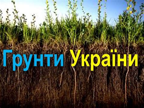 Грунти України | Test
