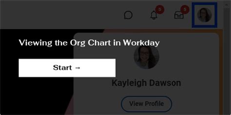 Viewing The Org Chart In Workday