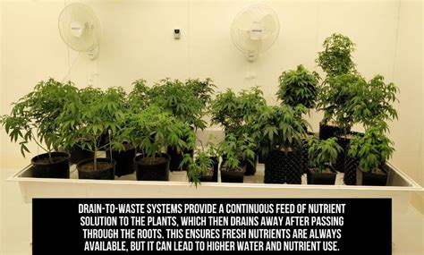 Ph Doser Vs Ph Controller Which One Is Better