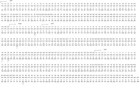 European Rabbit O Cuniculus Igg Dna Sequence Of Constant And Hinge