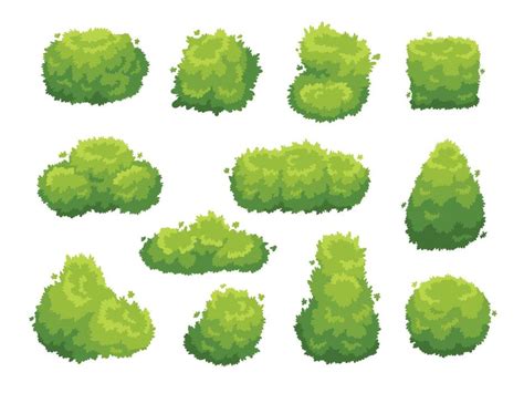 Bush Drawing Vector Art Icons And Graphics For Free Download