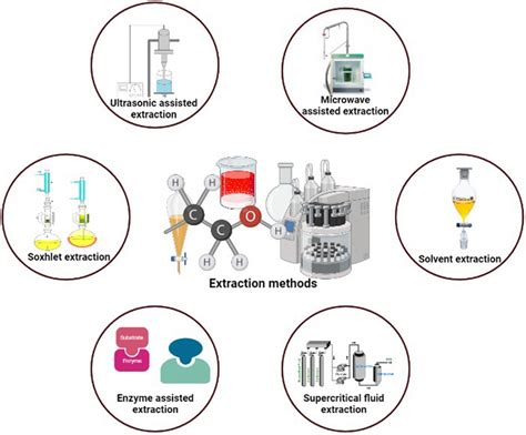 Extraction Methods For Isolation Of Phytochemicals From T Chebula Download Scientific Diagram