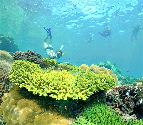 This Was An Exceptional Snorkeling Experience In Phu Quoc Onbird