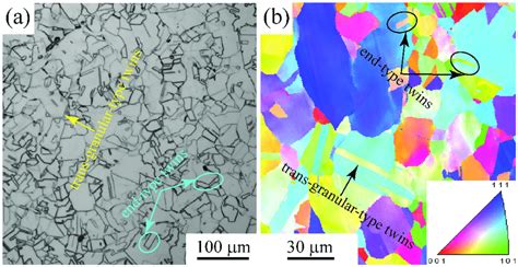 The Microstructures Of Non Cr Twip Steel A Optical Image And B Ebsd Download Scientific